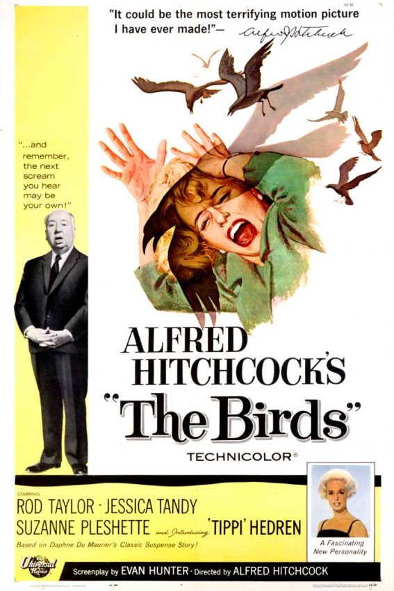 The Birds (IB Tech Print) | New Beverly Cinema